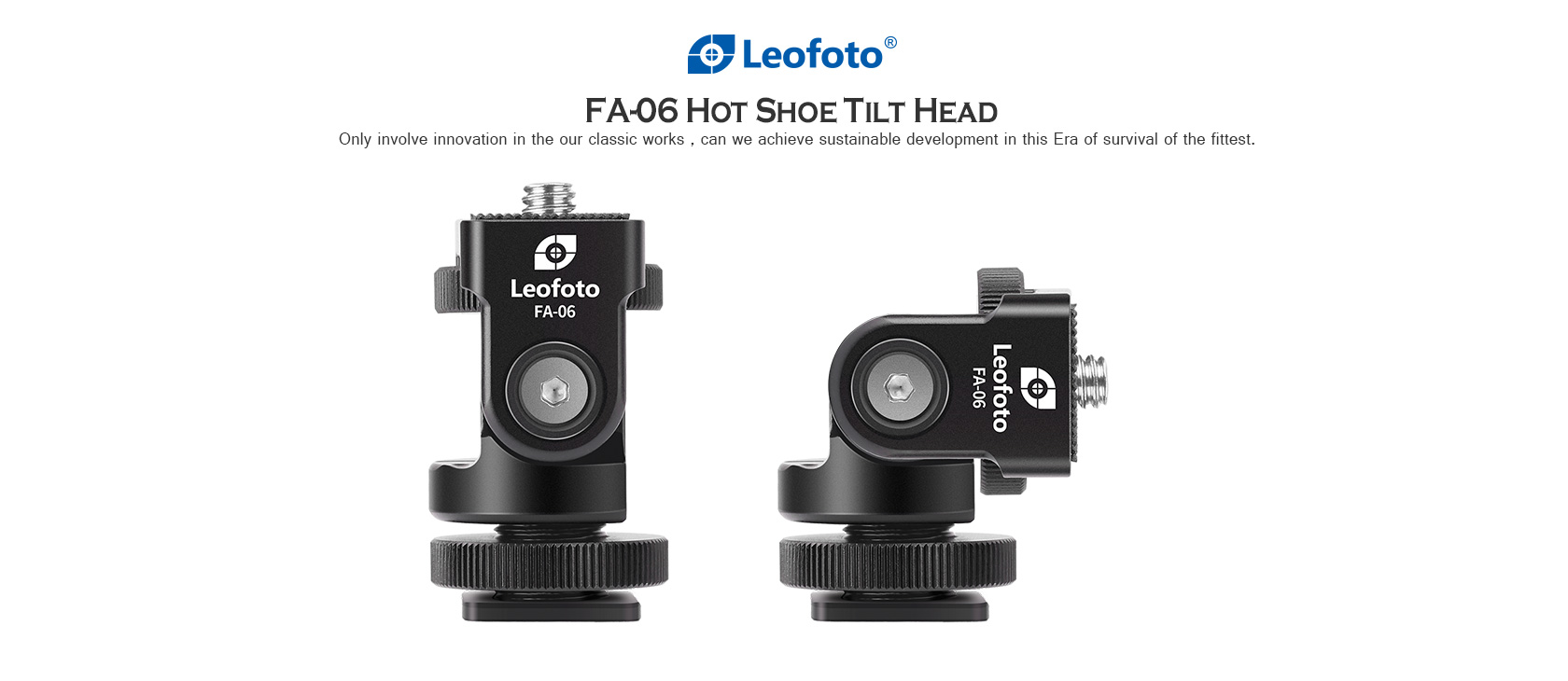 Leofoto FA-06 Mini Ballhead Panorama Head för Hotshoe Adapter – DEXT